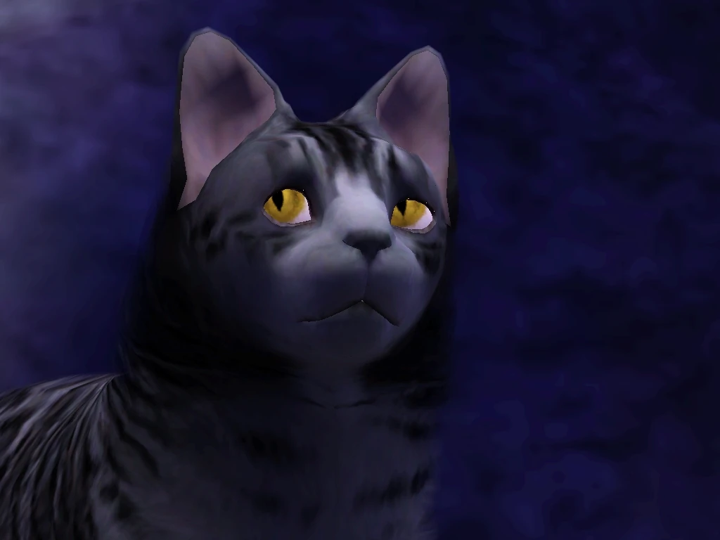Shadowsight | Warrior Cats Valley Territories Wiki | Fandom