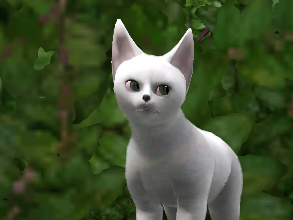 Halfkit Warrior Cats Valley Territories Wiki Fandom