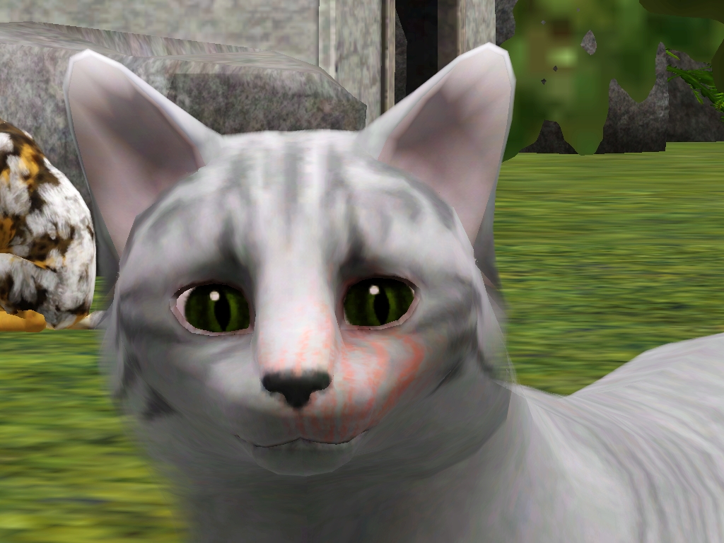 Lizardbug Warrior Cats Valley Territories Wiki Fandom