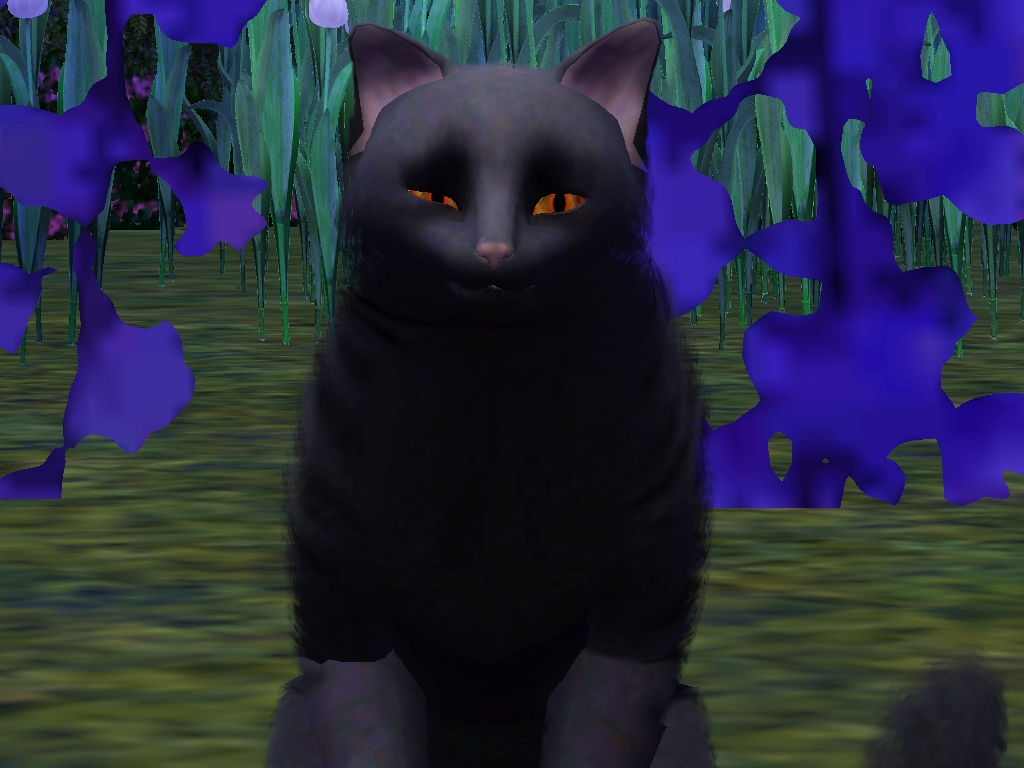 Moonbranch Warrior Cats Valley Territories Wiki Fandom