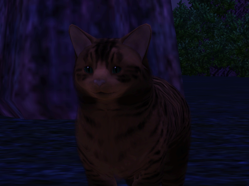 Stumpytail Warrior Cats Valley Territories Wiki Fandom