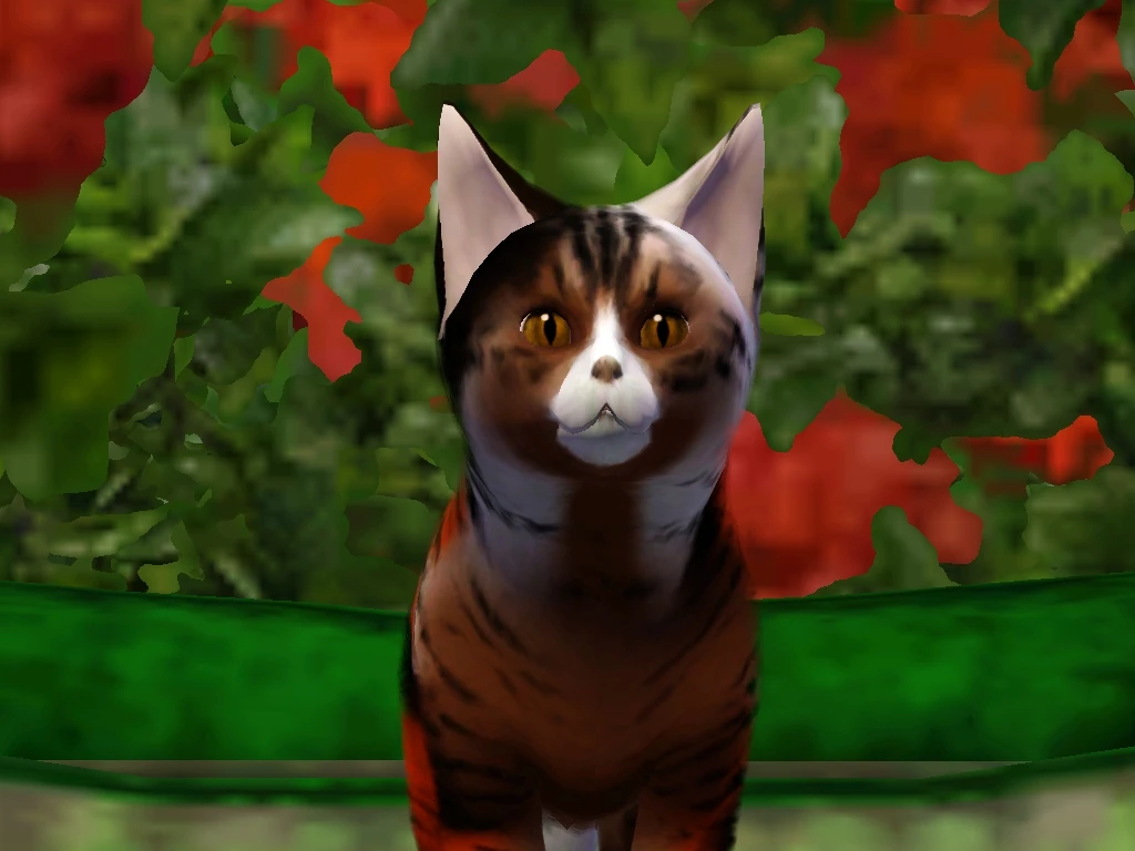 Tawnykit | Warrior Cats Valley Territories Wiki | Fandom