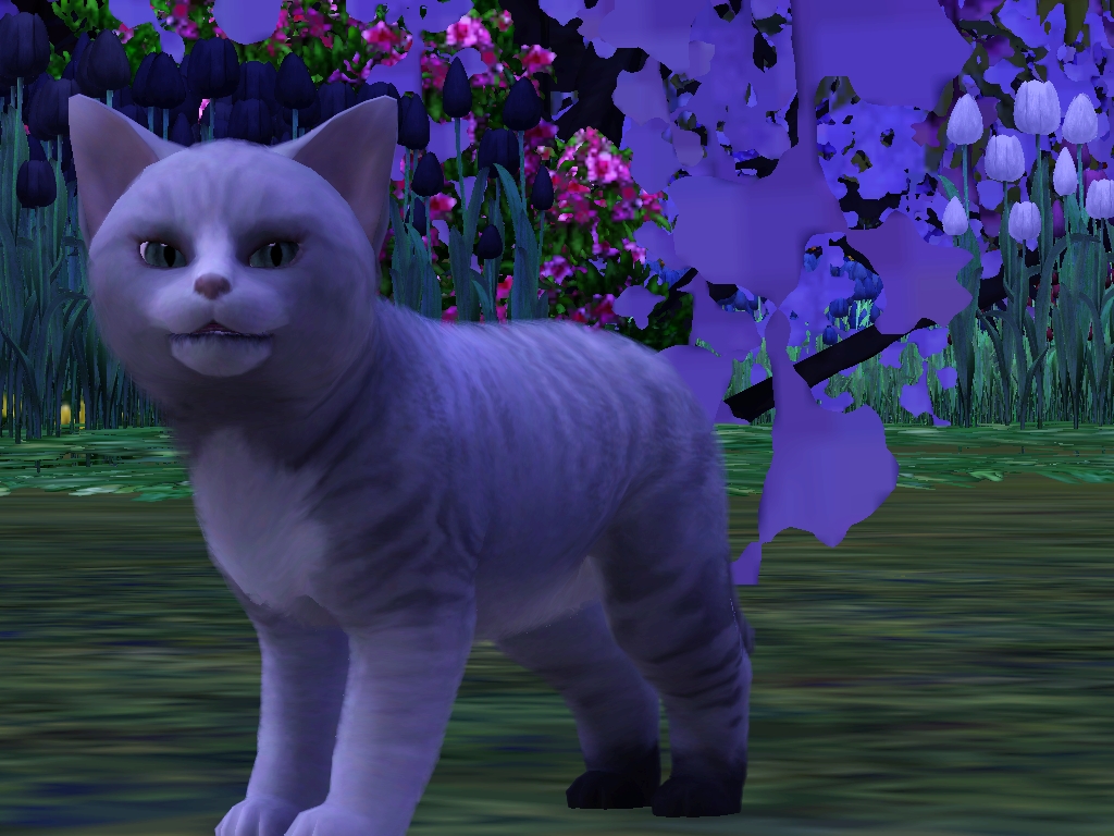 Icekit Warrior Cats Valley Territories Wiki Fandom