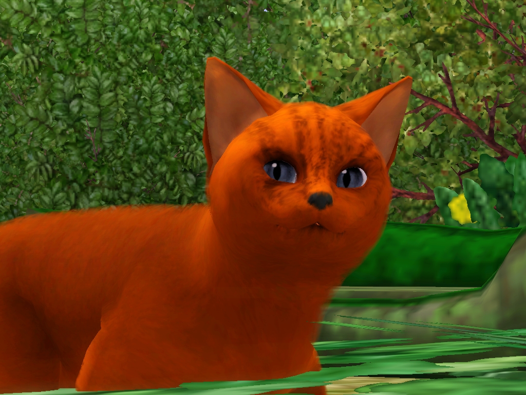 Thunderkit Warrior Cats Valley Territories Wiki Fandom
