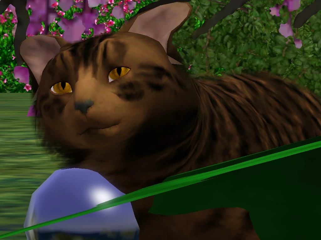 Bramblestar | Warrior Cats Valley Territories Wiki | Fandom