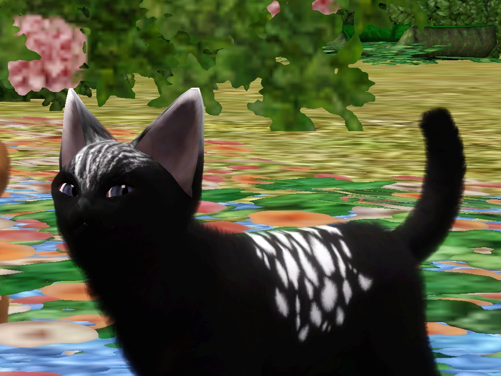Ripplekit Warrior Cats Valley Territories Wiki Fandom