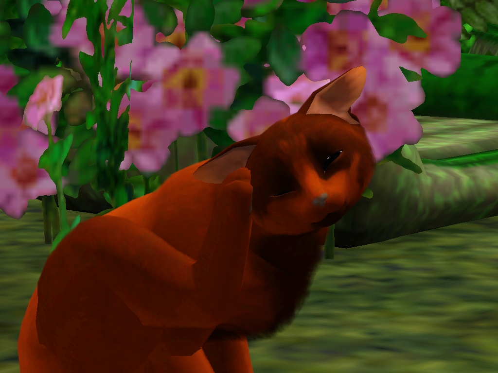 Squirrelbriar Warrior Cats Valley Territories Wiki Fandom