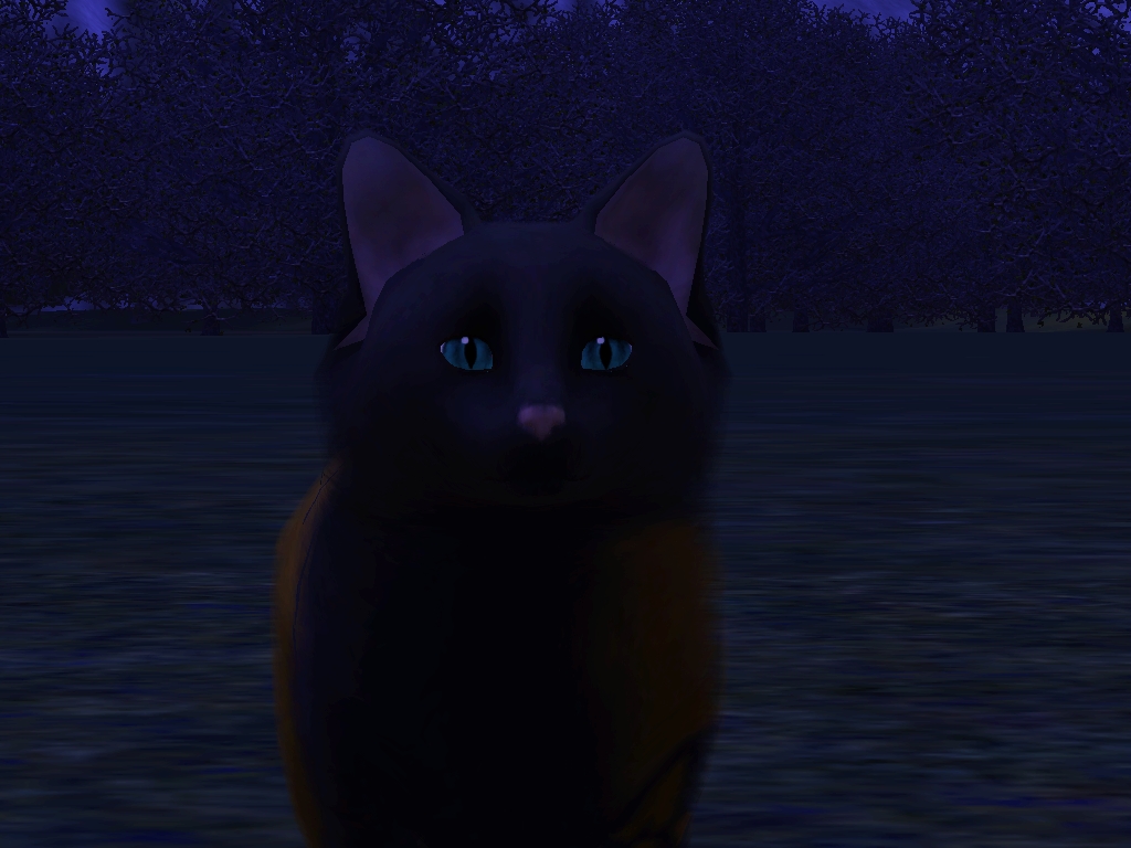 Rushtooth Warrior Cats Valley Territories Wiki Fandom