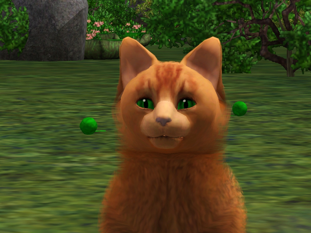 Firestorm Warrior Cats Valley Territories Wiki Fandom