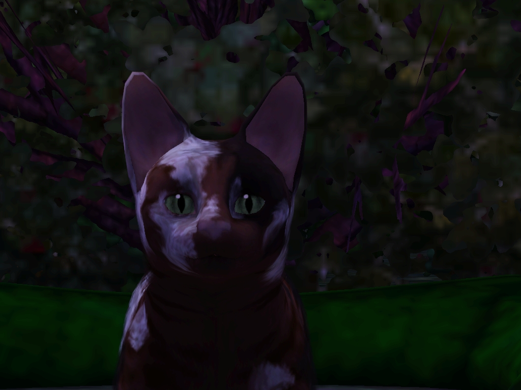Sheeppaw Warrior Cats Valley Territories Wiki Fandom