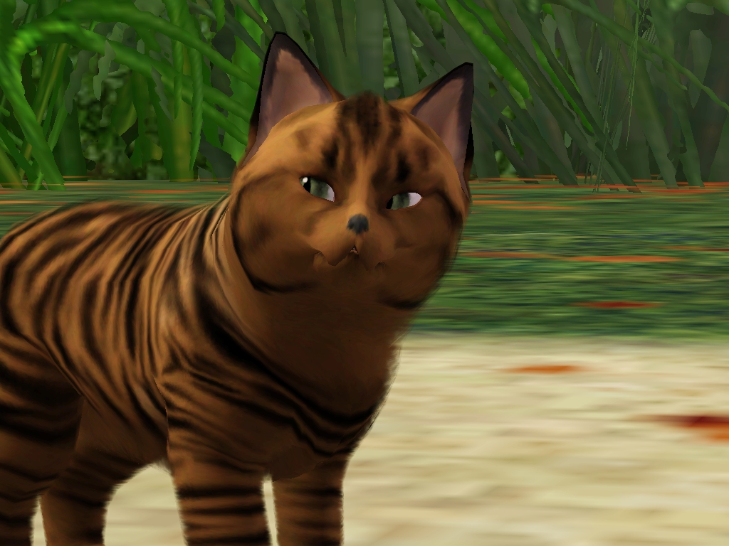 Wisteriakit Warrior Cats Valley Territories Wiki Fandom