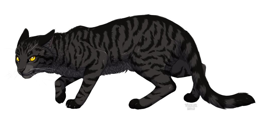 Darkstripe | Warrior Cats Villains Wiki | Fandom