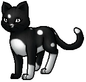 Spotnose | Warrior Cats Wiki | Fandom
