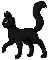 Schattenstern (SchattenClan) | Warrior Cats Wiki | Fandom