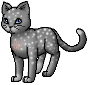 Tupfenschopf | Warrior Cats Wiki | Fandom