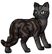 Waffelpfote | Warrior Cats Wiki | Fandom