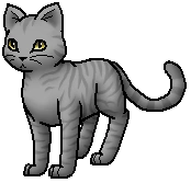 Madenschweif | Warrior Cats Wiki | Fandom