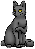 Jubelstern | Warrior Cats Wiki | Fandom