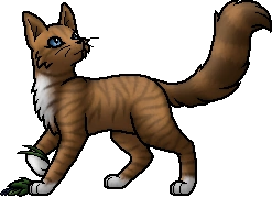 Rehauge | Warrior Cats Wiki | Fandom