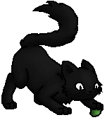 Arc Shadow | Warrior Cats Wiki | Fandom
