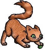 Moonpaws Schwester | Warrior Cats Wiki | Fandom