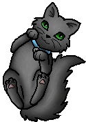 Fussel | Warrior Cats Wiki | Fandom