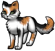 Schalenfell | Warrior Cats Wiki | Fandom