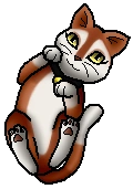 Mitzi (Hauskätzchen) | Warrior Cats Wiki | Fandom