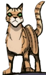 Sturmwind | Warrior Cats Wiki | Fandom