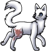 Frost | Warrior Cats Wiki | Fandom