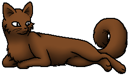 Owl | Warrior Cats Wiki | Fandom