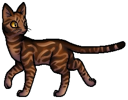 Springender Fisch | Warrior Cats Wiki | Fandom