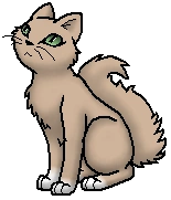 Primelpfote | Warrior Cats Wiki | Fandom
