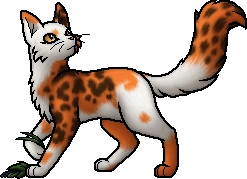 Getupfter Pelz | Warrior Cats Wiki | Fandom