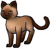 Maulwurfbart | Warrior Cats Wiki | Fandom