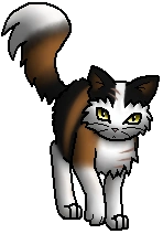 Schnapper | Warrior Cats Wiki | Fandom