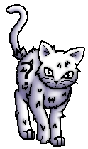 Hawk (Riverstar's Home) | Warrior Cats Wiki | Fandom