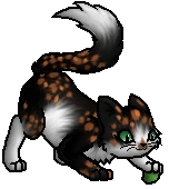 Efeuschweif (SchattenClan) | Warrior Cats Wiki | Fandom