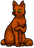 Abendstern (DonnerClan) | Warrior Cats Wiki | Fandom
