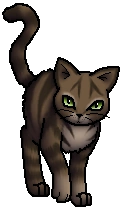 Willie | Warrior Cats Wiki | Fandom