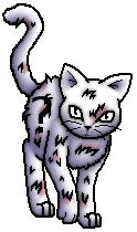 Schnitzel | Warrior Cats Wiki | Fandom