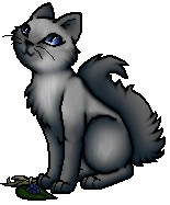 Warrior Cats Wiki/Neuerscheinung | Warrior Cats Wiki | Fandom