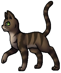 Willie | Warrior Cats Wiki | Fandom