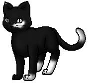 Piekklaue | Warrior Cats Wiki | Fandom