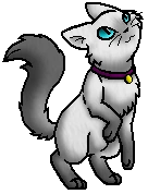 Zack | Warrior Cats Wiki | Fandom