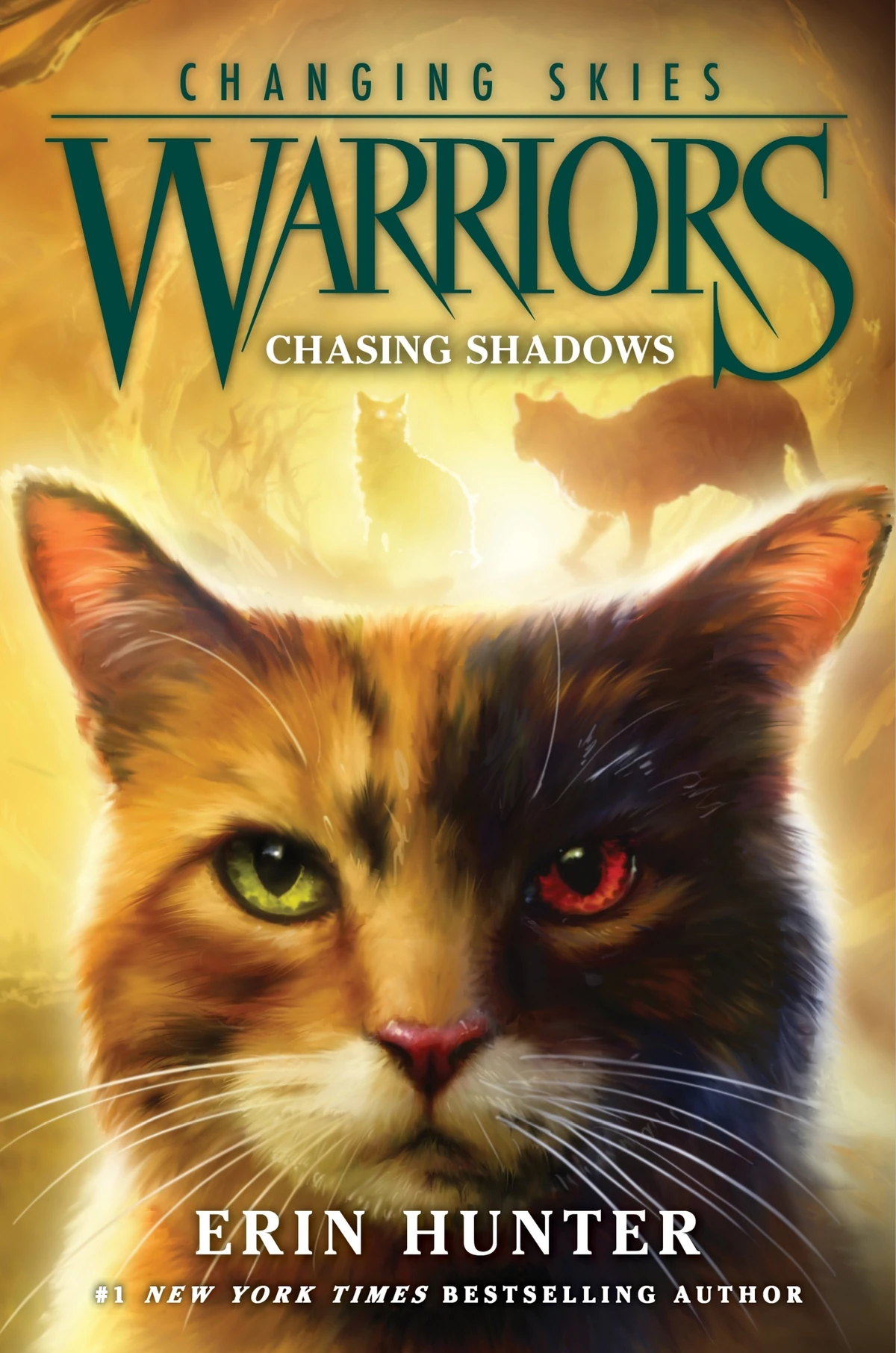 Chasing Shadows/Cover | Warrior Cats Wiki | Fandom