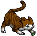 Warrior Cats Wiki | Fandom