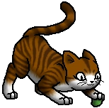 Sonnenstrahl (Staffel 8) | Warrior Cats Wiki | Fandom