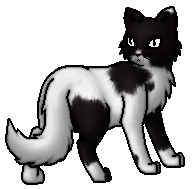 Jake (Ivypool's Heart) | Warrior Cats Wiki | Fandom
