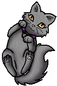 Ruby | Warrior Cats Wiki | Fandom